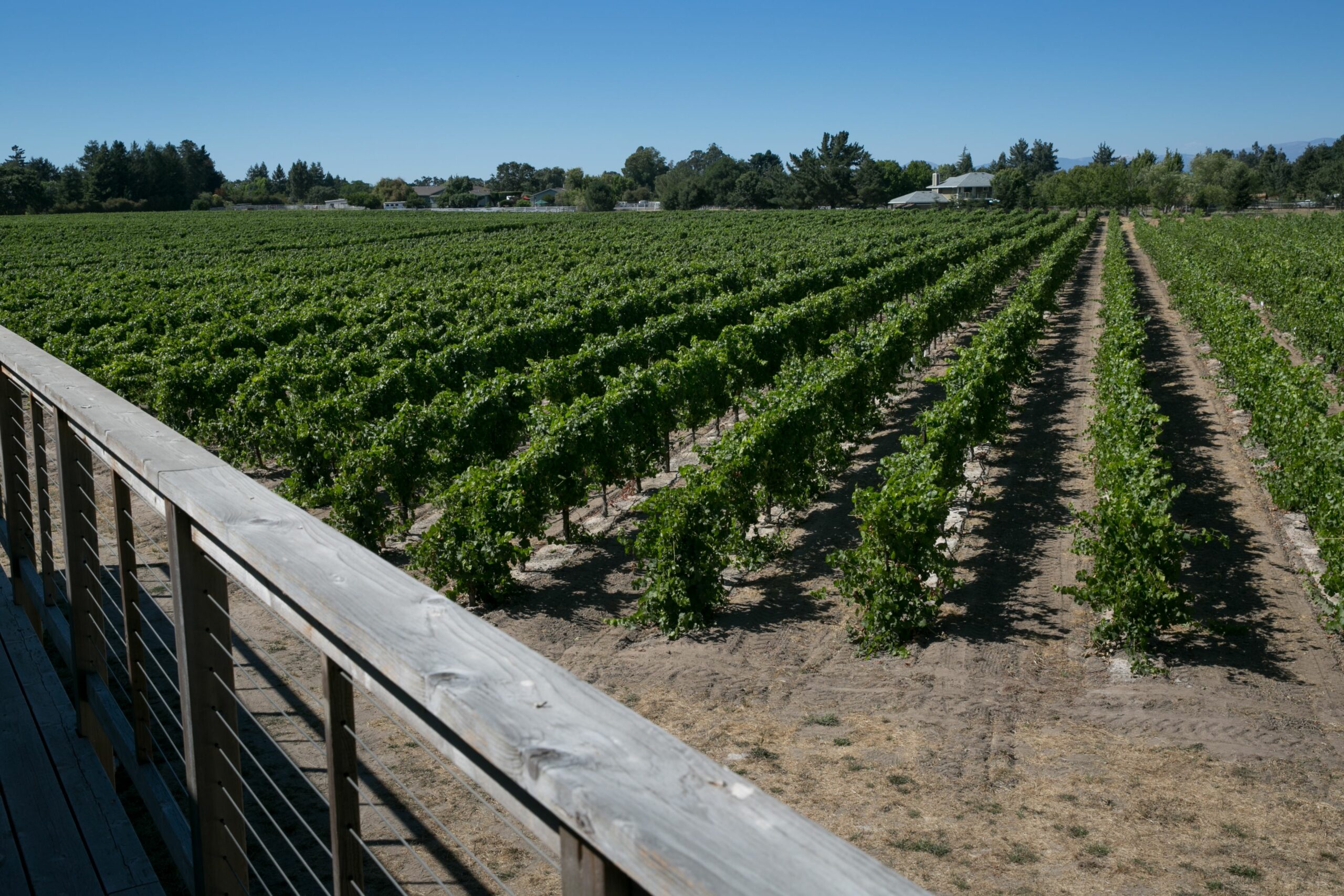 Climate Workshop at Sunny View Vineyard - Sonoma County Winegrowers