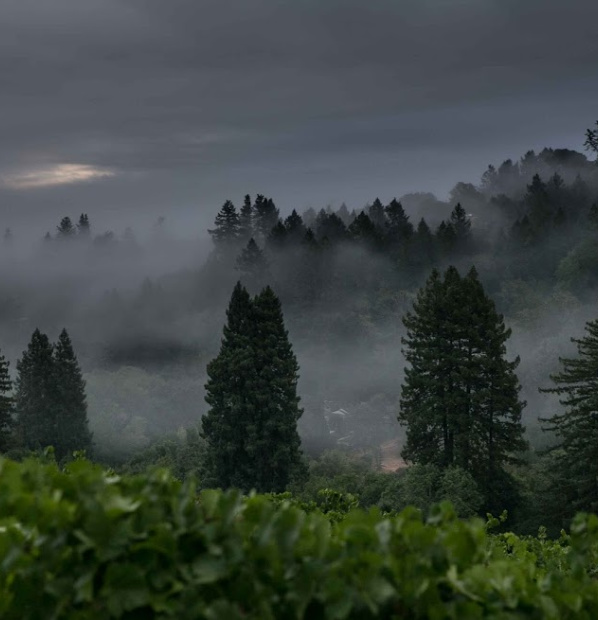 Weather Alerts and Monitoring - Sonoma County Winegrowers